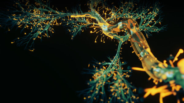 Rapport Therapeutics